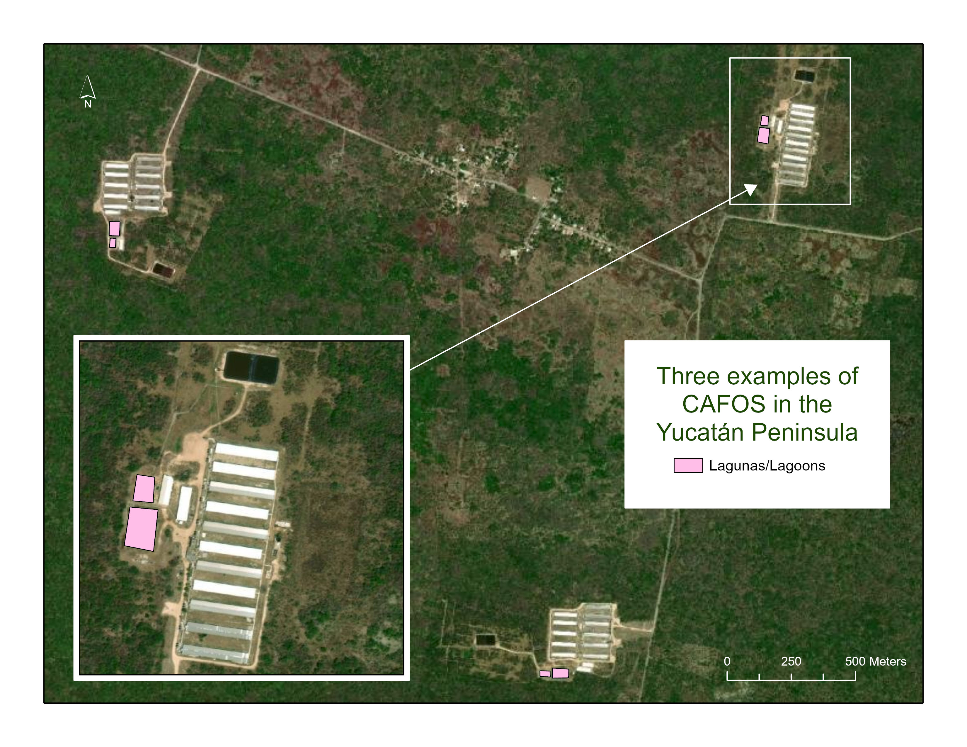 CAFOS in the Yucatán Peninsula | Clio Valentine Bate